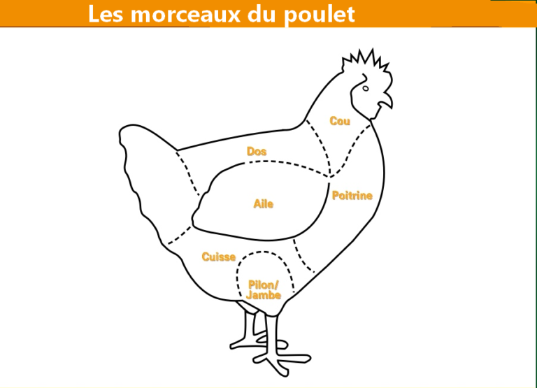 morceaux du poulet - Gastronomie France